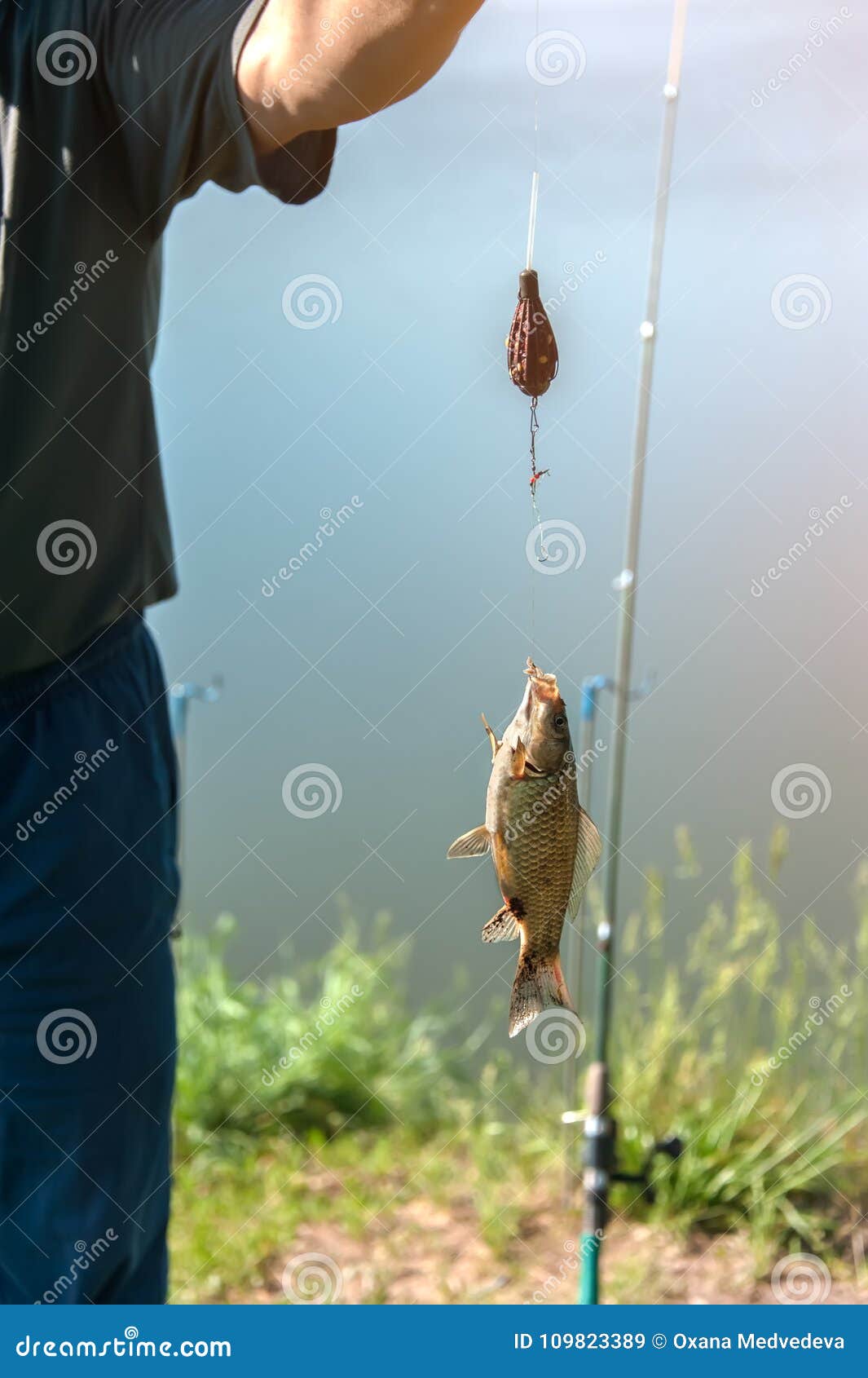 Extraction of the Hook from the Mouth of the Fish by Forceps on a Sunny ...