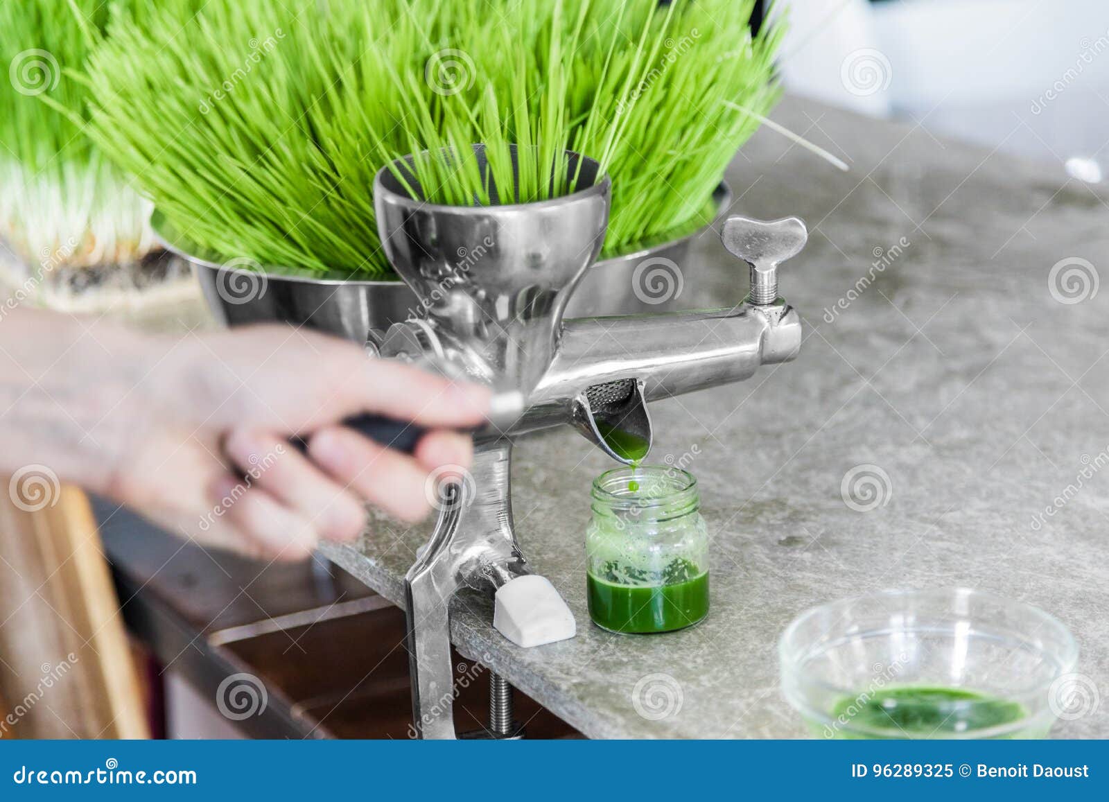 Extraction of Wheatgrass in Action on the Kitchen Countertop Using a ...