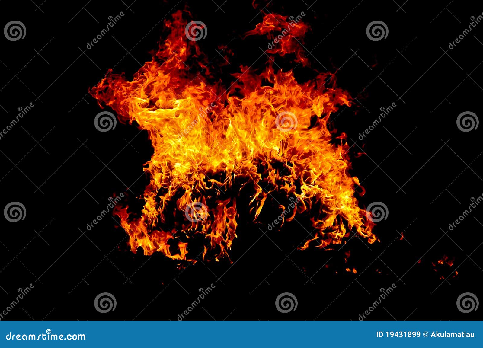 Extracto Del Fuego Imagen. Imagen: 19431899