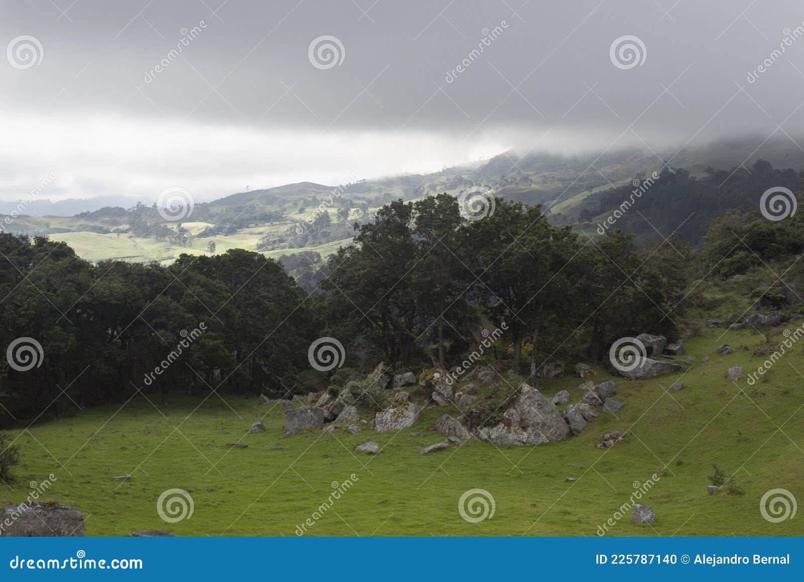 An Extrange Ancient Monoliths Surround a Big Tree in Middle of a ...