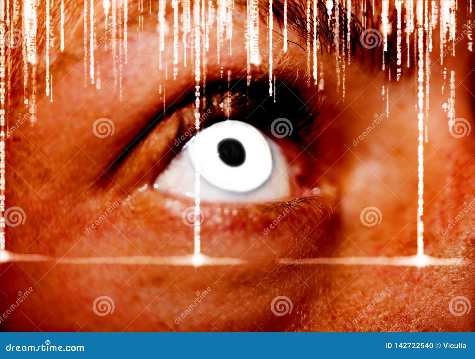 An Extraordinary , Insightful Look Eye. Close Up Shot Stock Photo ...