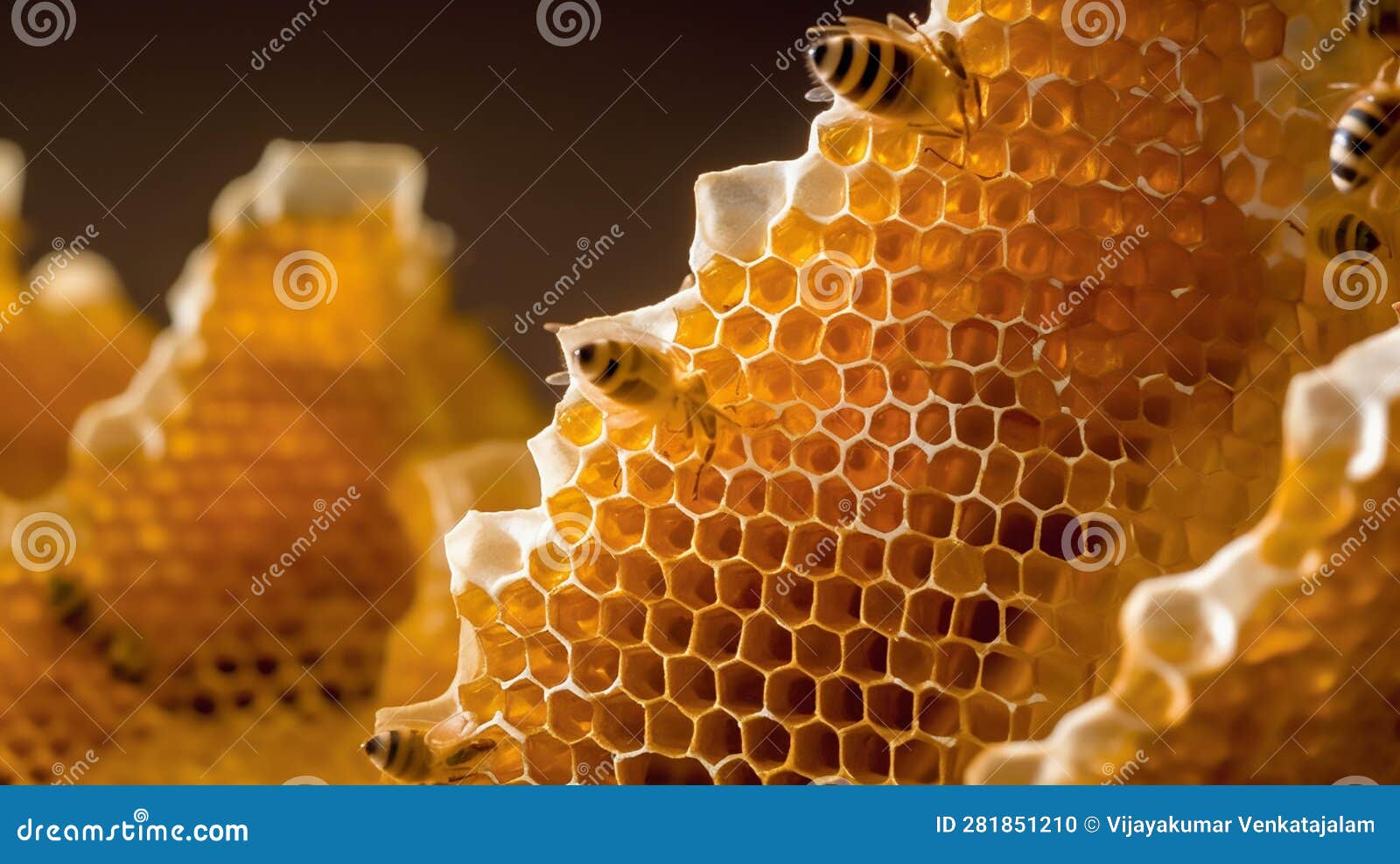 The Extraordinary Triangular Honeycombs of Stingless Bees Stock ...