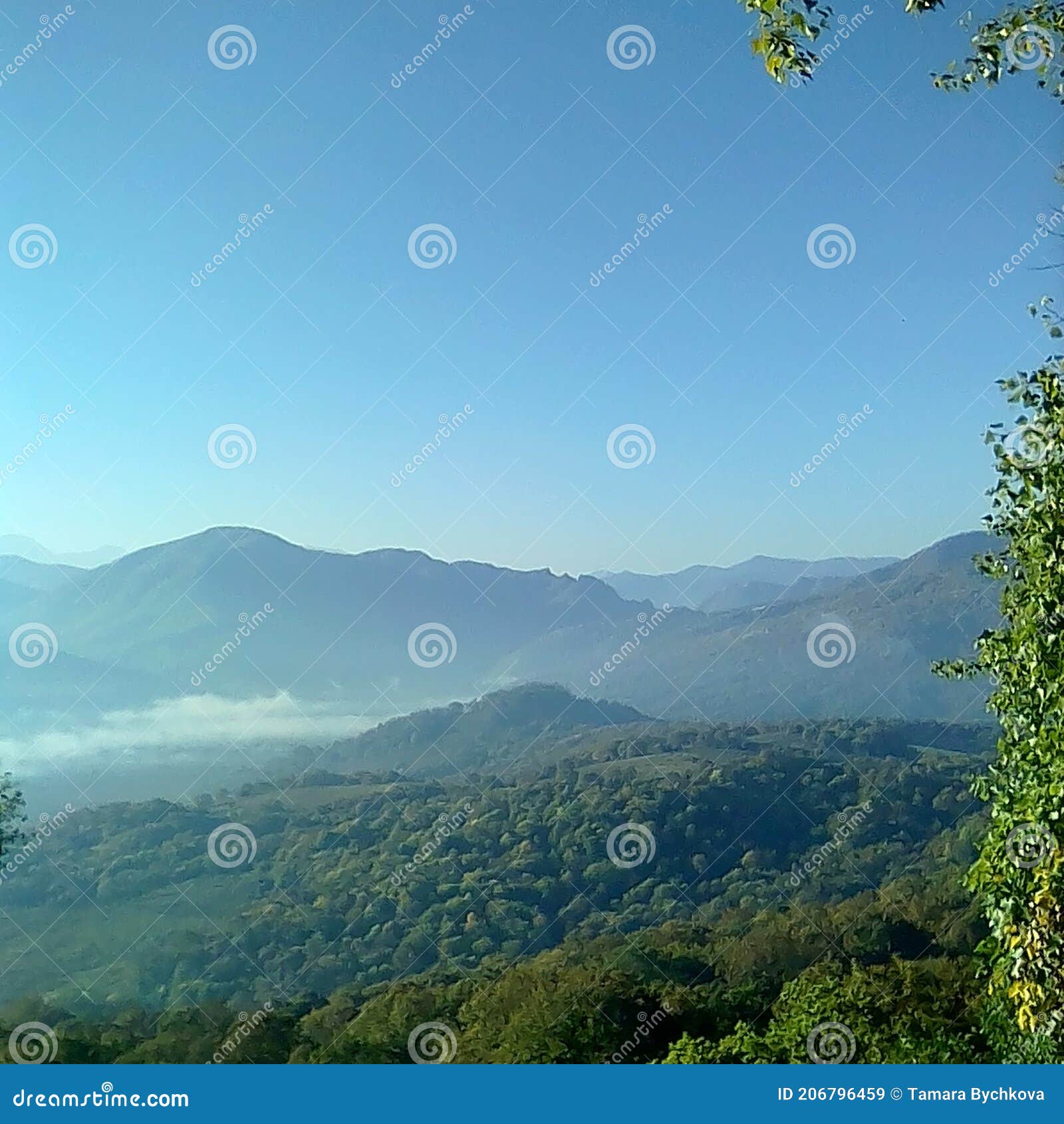 An Extraordinary View of the Mountains of the Sky and the Forest, an ...