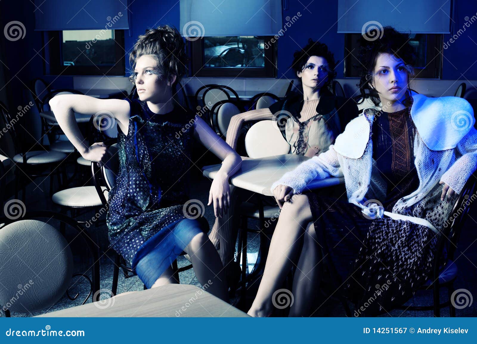 Extravagant ladies stock image. Image of elegant, modern - 14251567