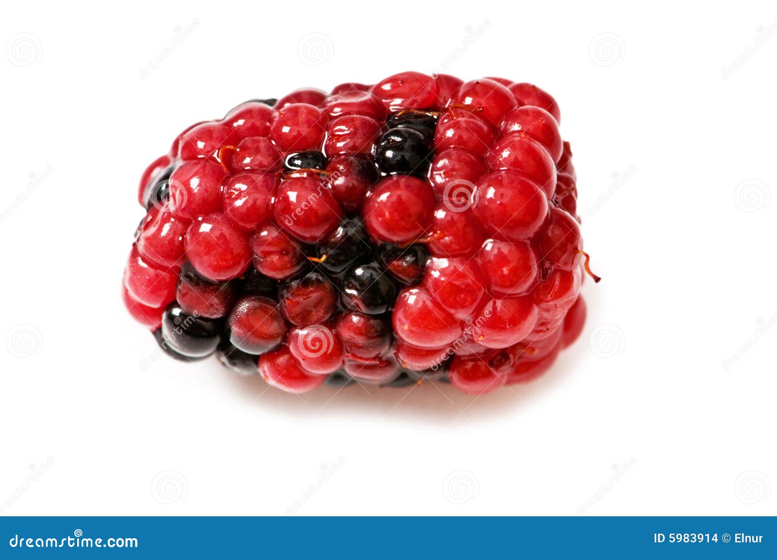 Extreme Close Up of Berry Isolated on White Stock Photo - Image of ...