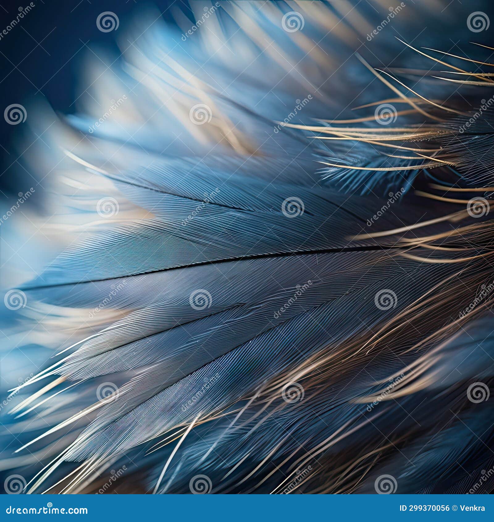 Extreme Close-up of a Bird Feather Stock Photo - Image of close ...