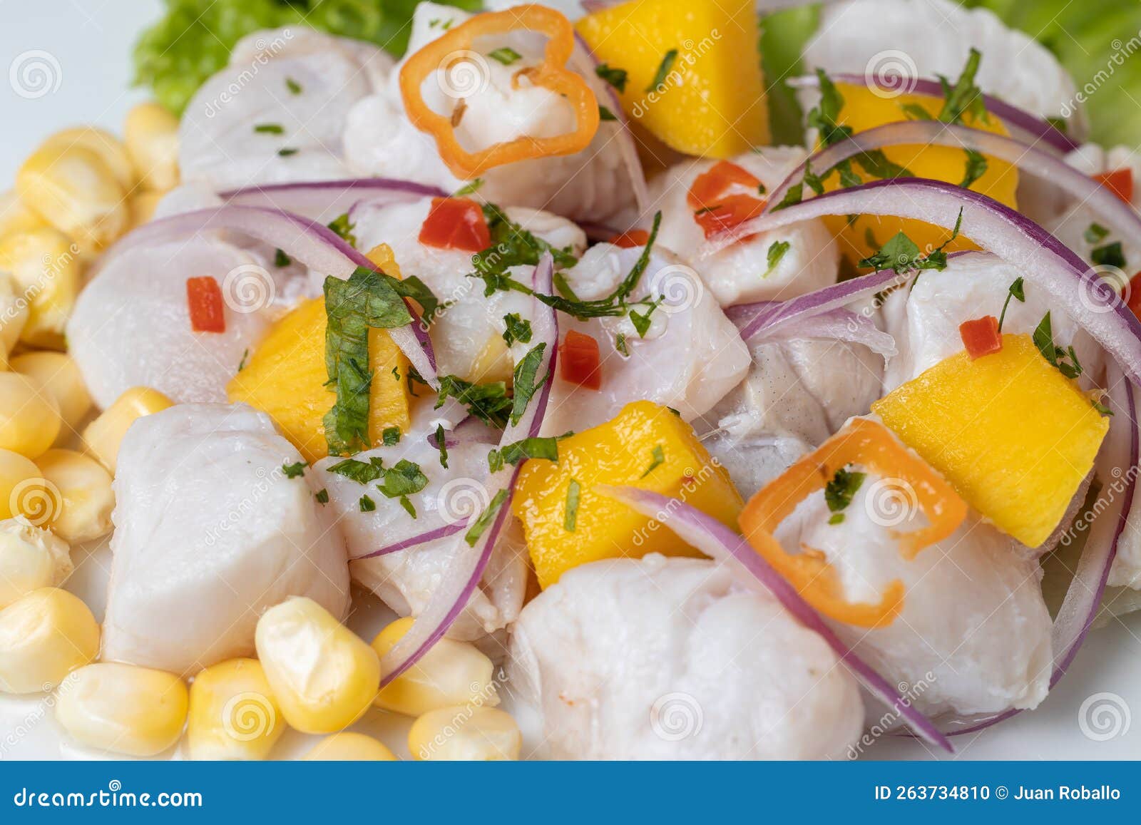 Extreme Close Up of Ceviche, Typical Fish-based Dish of Peruvian ...