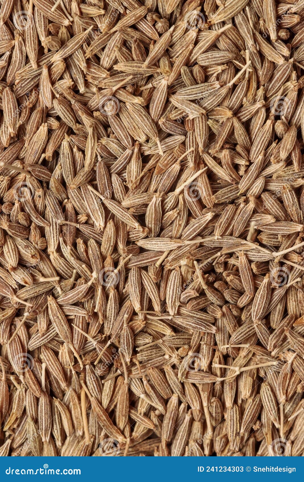 Extreme Close Up Shot of Cumin Seeds Stock Image - Image of culinary ...