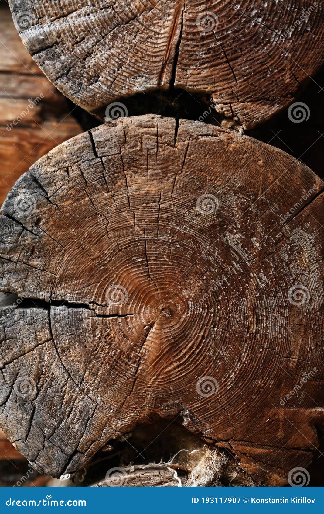 Old Logs Background stock image. Image of design, conceptual - 193117907