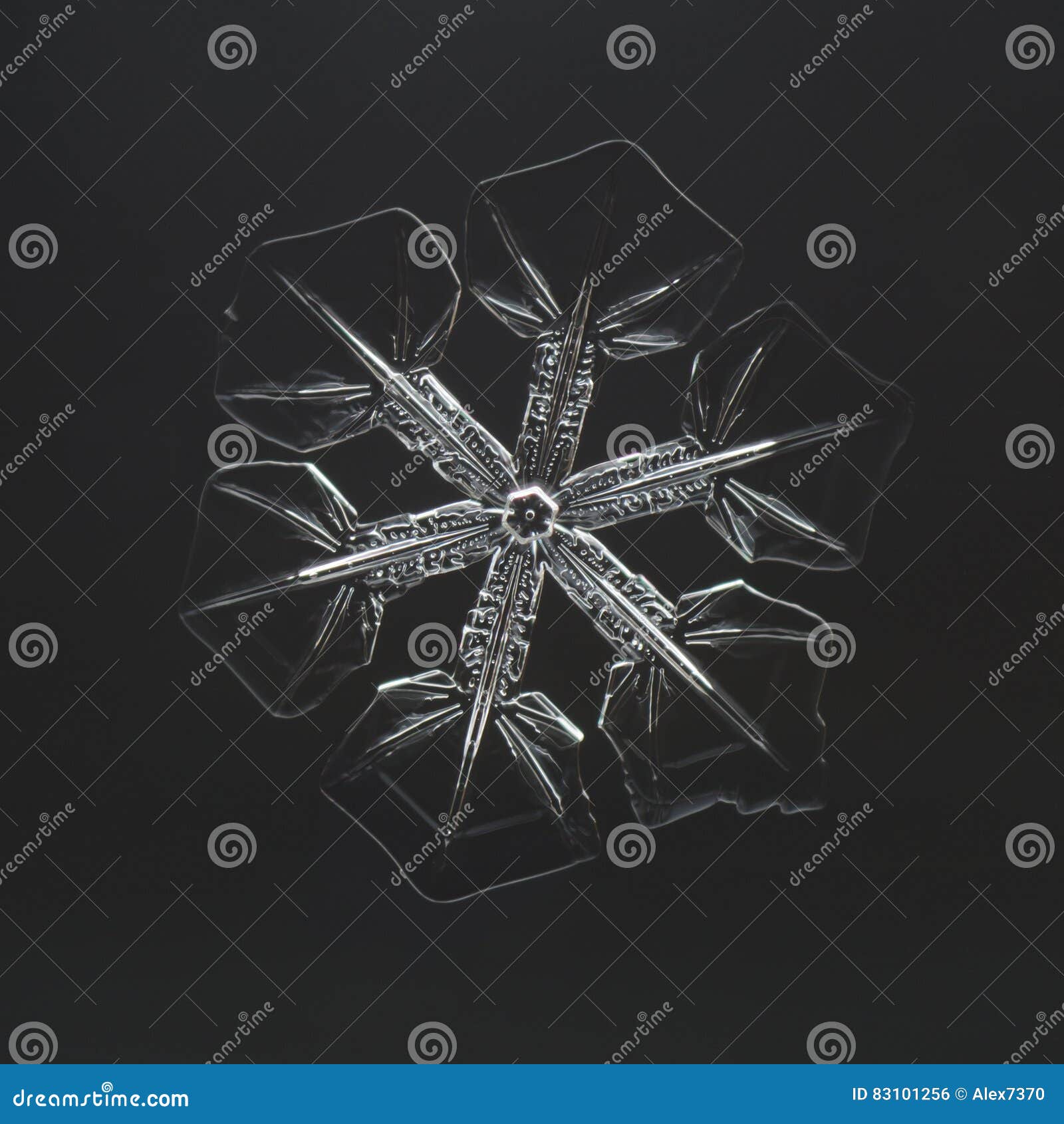 Extreme Closeup of Natural Snowflake Stock Photo - Image of transparent ...