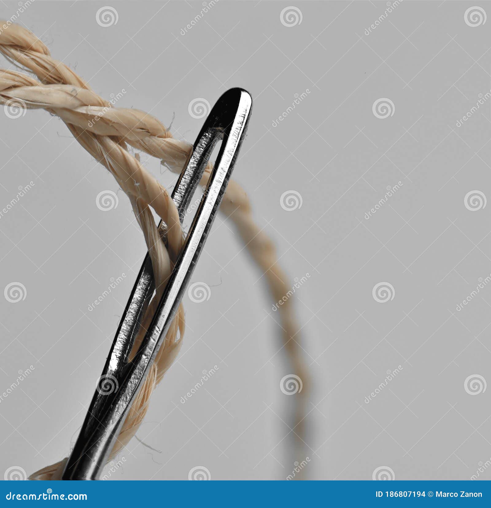 Precision and Accuracy. Extreme Closeup Picture of Thread Passing ...