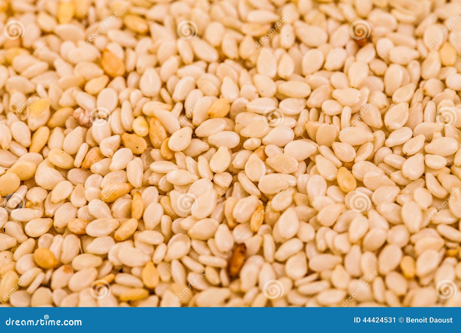 Sesame Texture Stock Photo | CartoonDealer.com #23742012