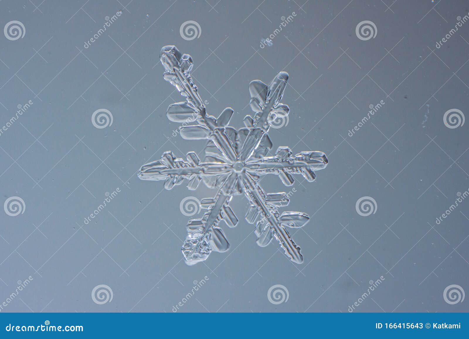 Extreme Closeup of Snowflake Stock Image - Image of closeup, freeze ...