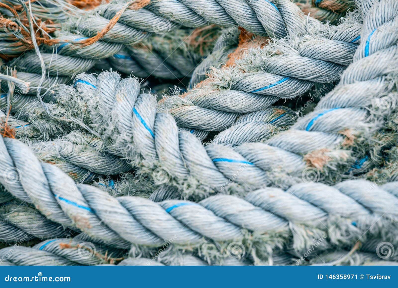 Old and Worn Out Mooring Rope Stock Image - Image of dock, marine ...