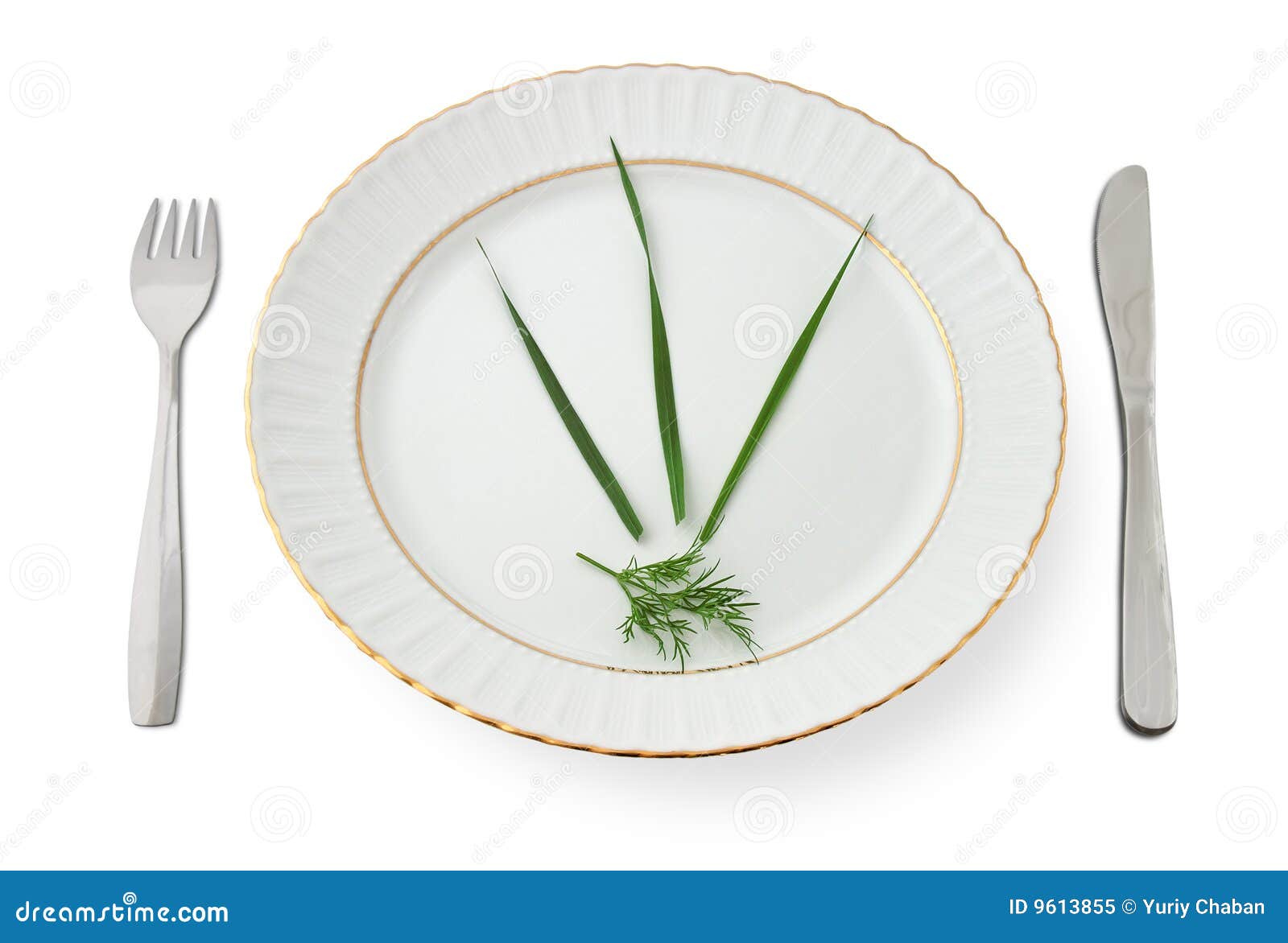 Extreme diet stock image. Image of extreme, portions, calorie - 9613855
