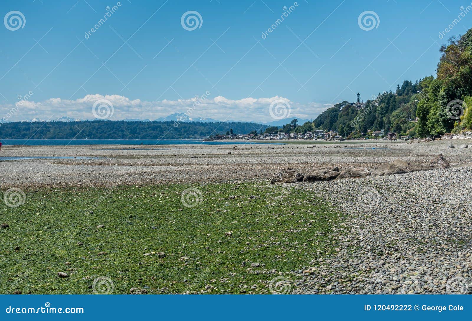 Extreme Low Tide 3 stock photo. Image of nature, state - 120492222