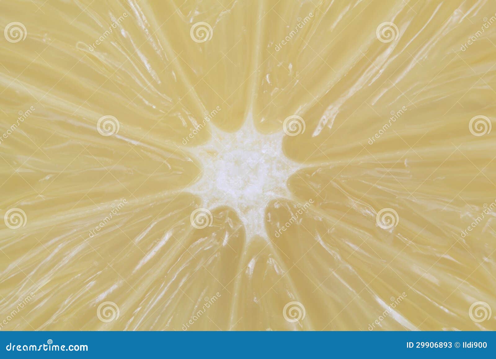 Lemon section. stock image. Image of details, detail - 29906893