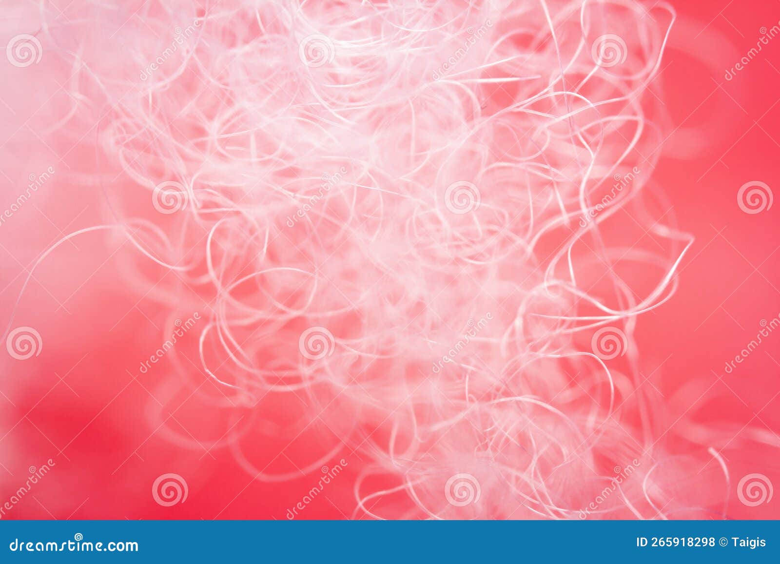 Extreme Macro of Polyester Stable Fiber on Red Background Stock Photo ...