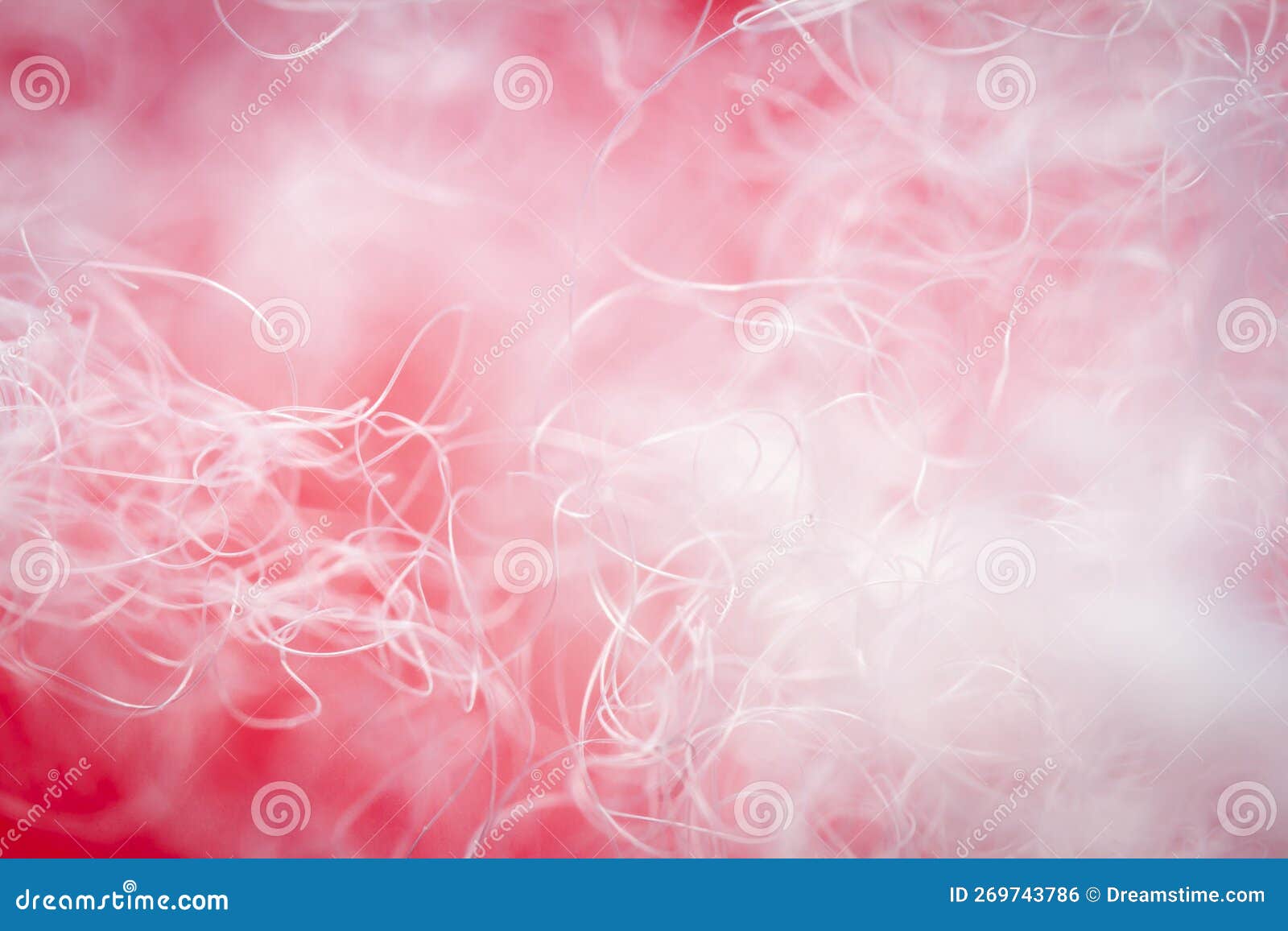 Extreme Macro of Polyester Stable Fiber on Red Background Stock Photo ...