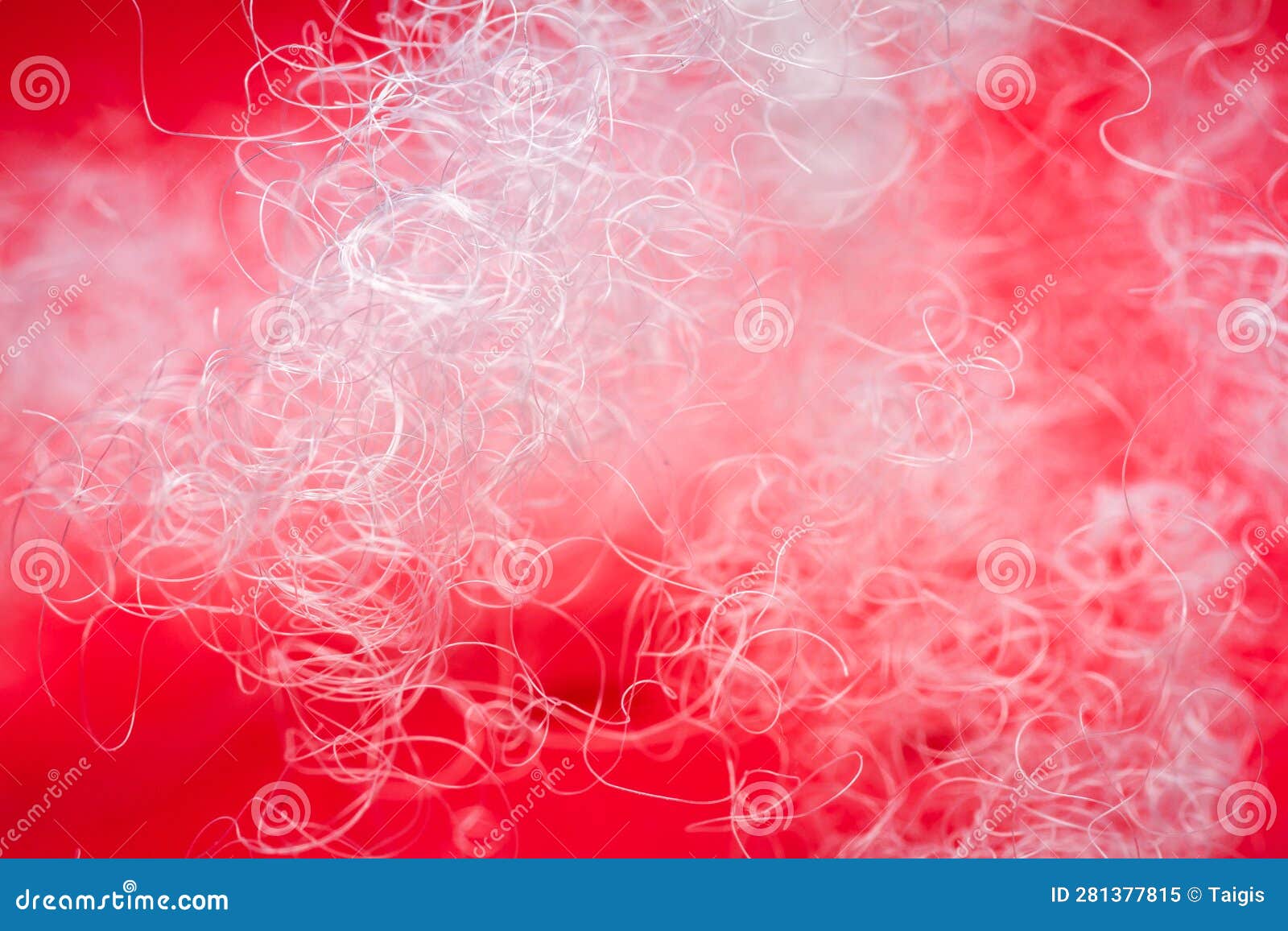 Extreme Macro of Polyester Stable Fiber on Red Background Stock Image ...