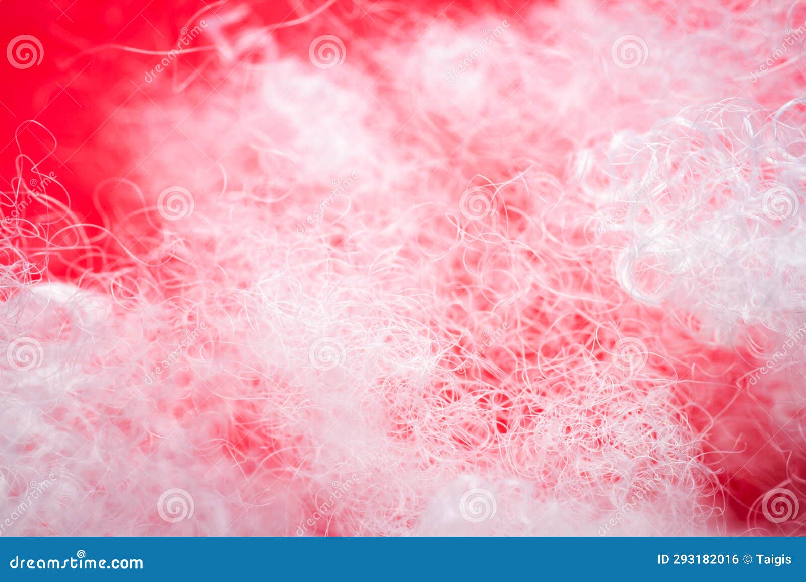 Extreme Macro of Polyester Stable Fiber on Red Background Stock Photo ...