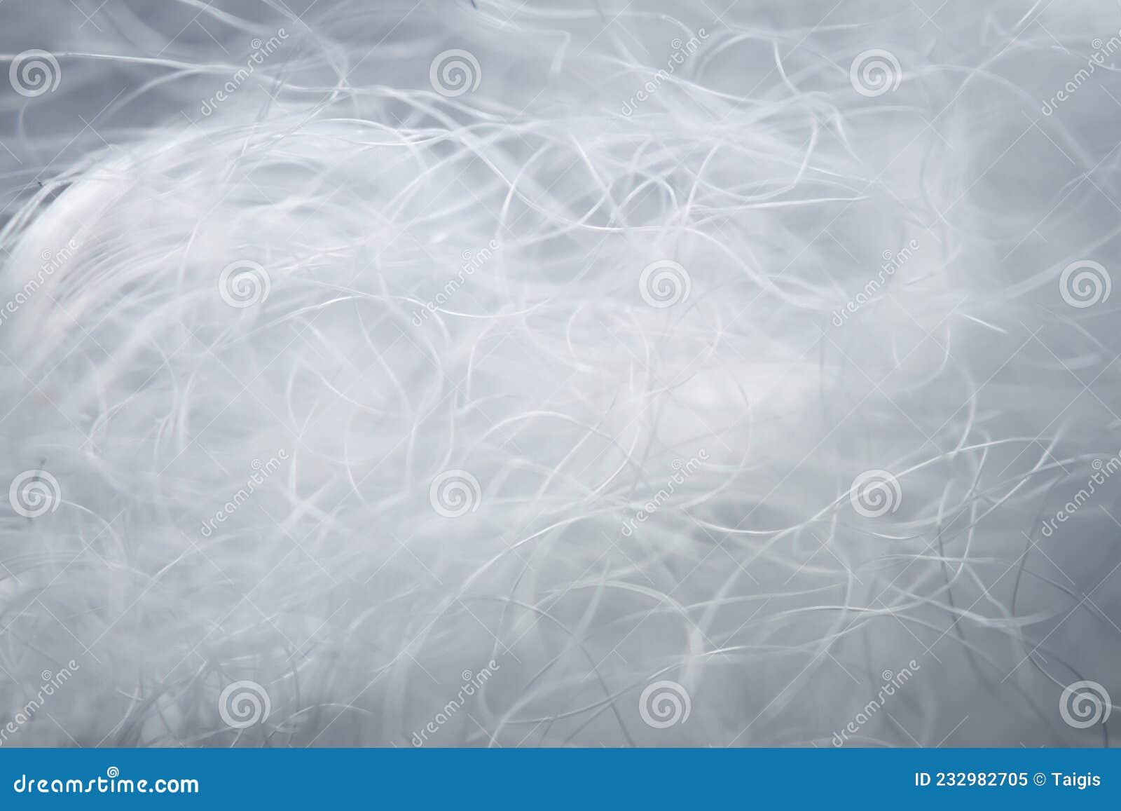 Extreme Macro of Polyester Stable Fiber Stock Image - Image of fiber ...
