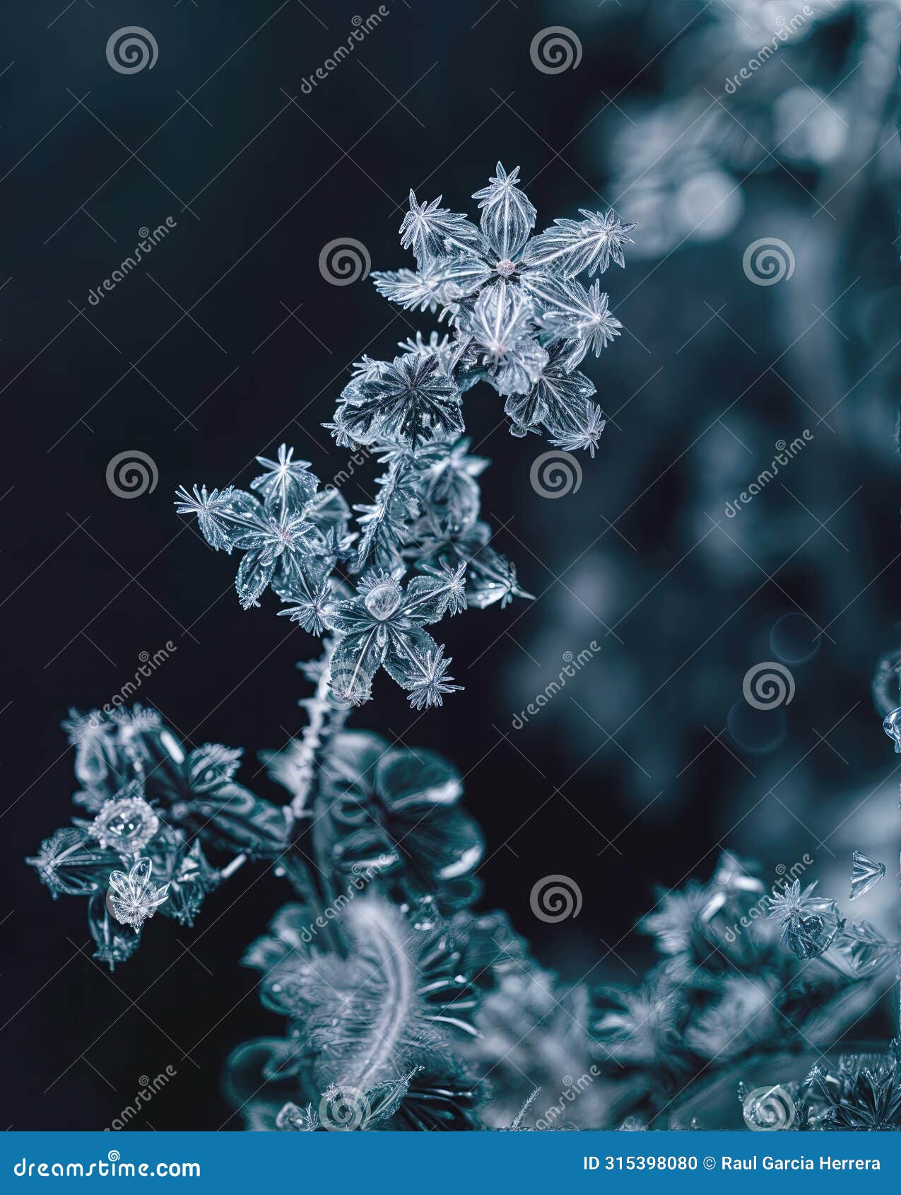 Extreme Macro Shot Of Crystalline Structures Of Frost Texture Royalty ...