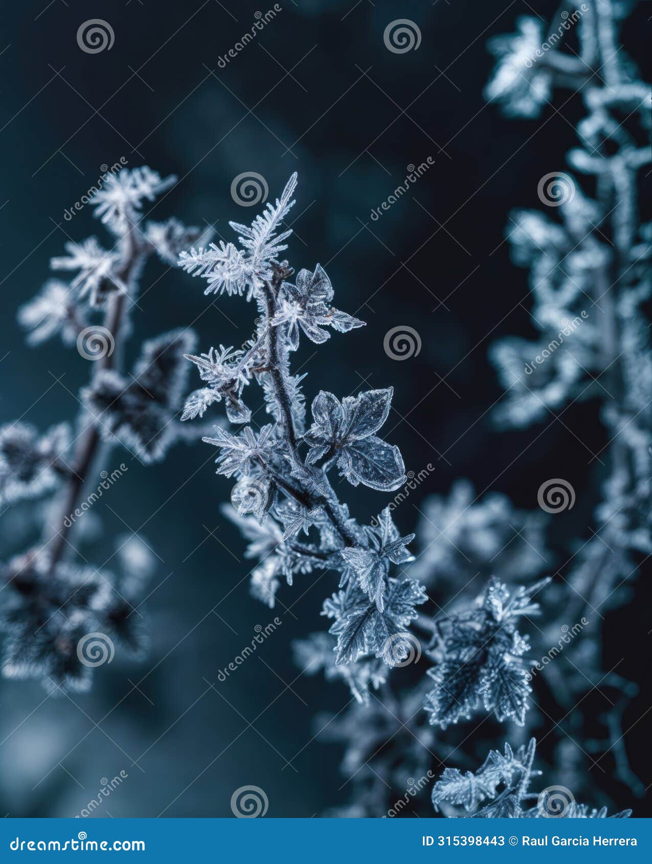 Extreme Macro Shot Of Crystalline Structures Of Frost Texture Stock ...
