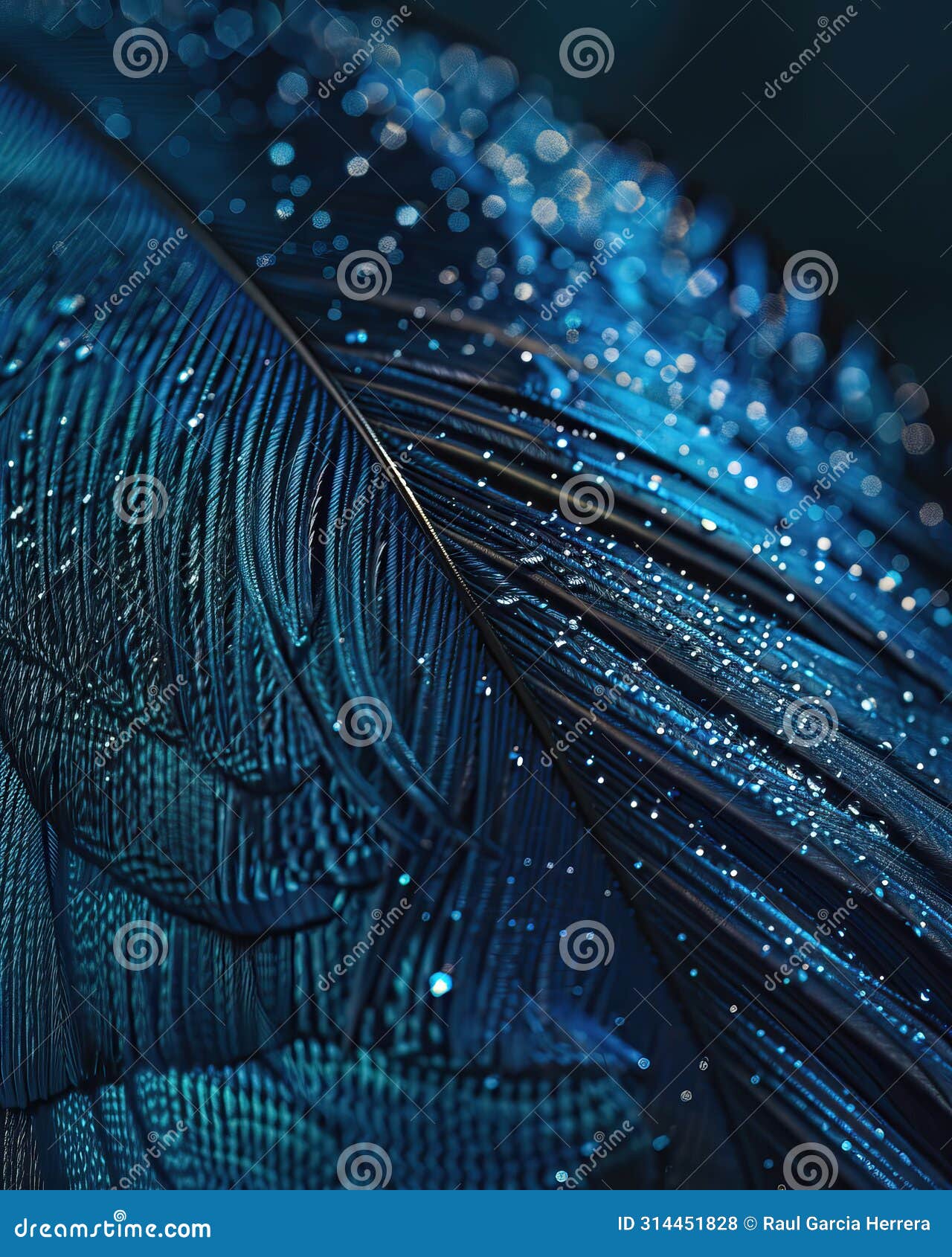 Extreme Macro Shot of Peacock Feather Microstructure Texture Stock ...