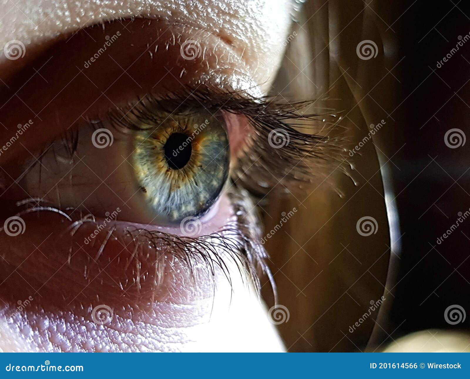 Perfect Human Body Pyramid. Royalty-Free Stock Photo | CartoonDealer ...