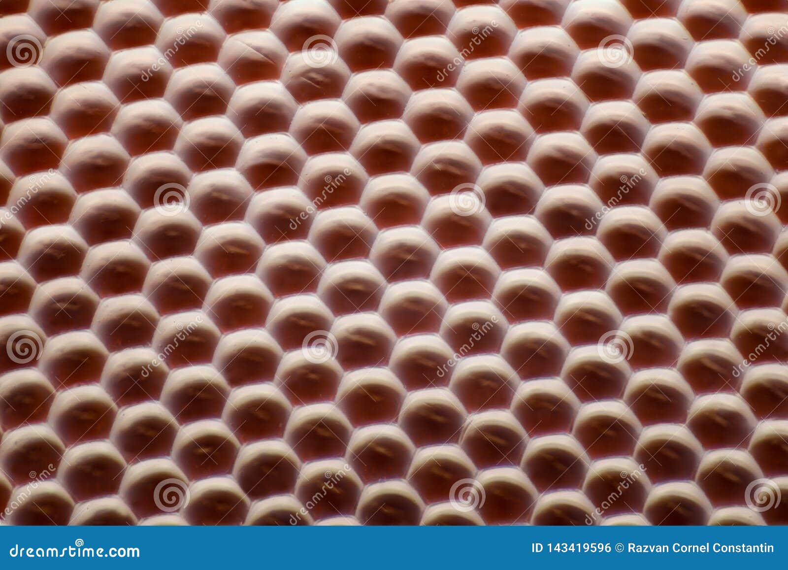 Extreme Magnification - Fly Compound Eye at Microscope, 100x ...