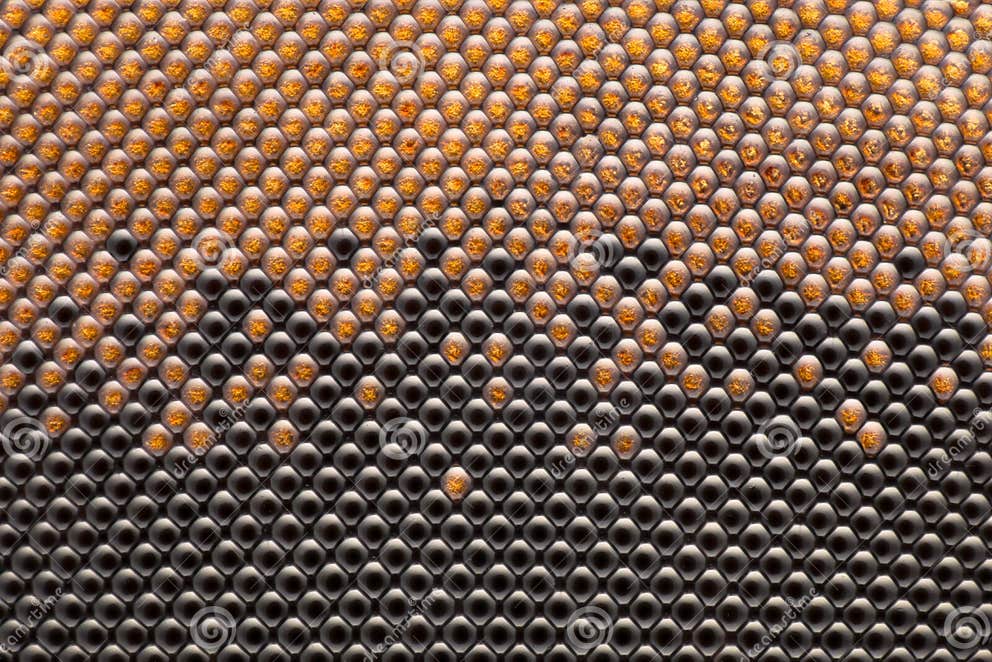 Extreme Magnification - Fly Compound Eye at Microscope, 50x ...