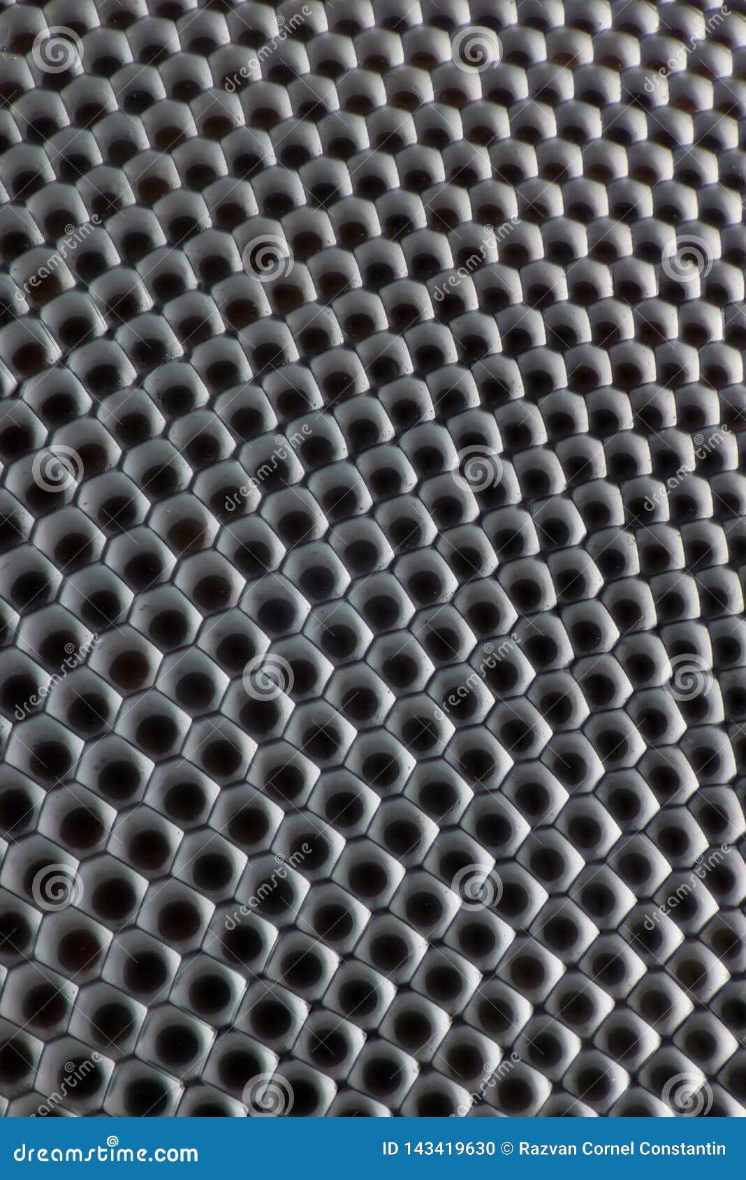 Extreme Magnification - Fly Compound Eye at Microscope, 50x ...