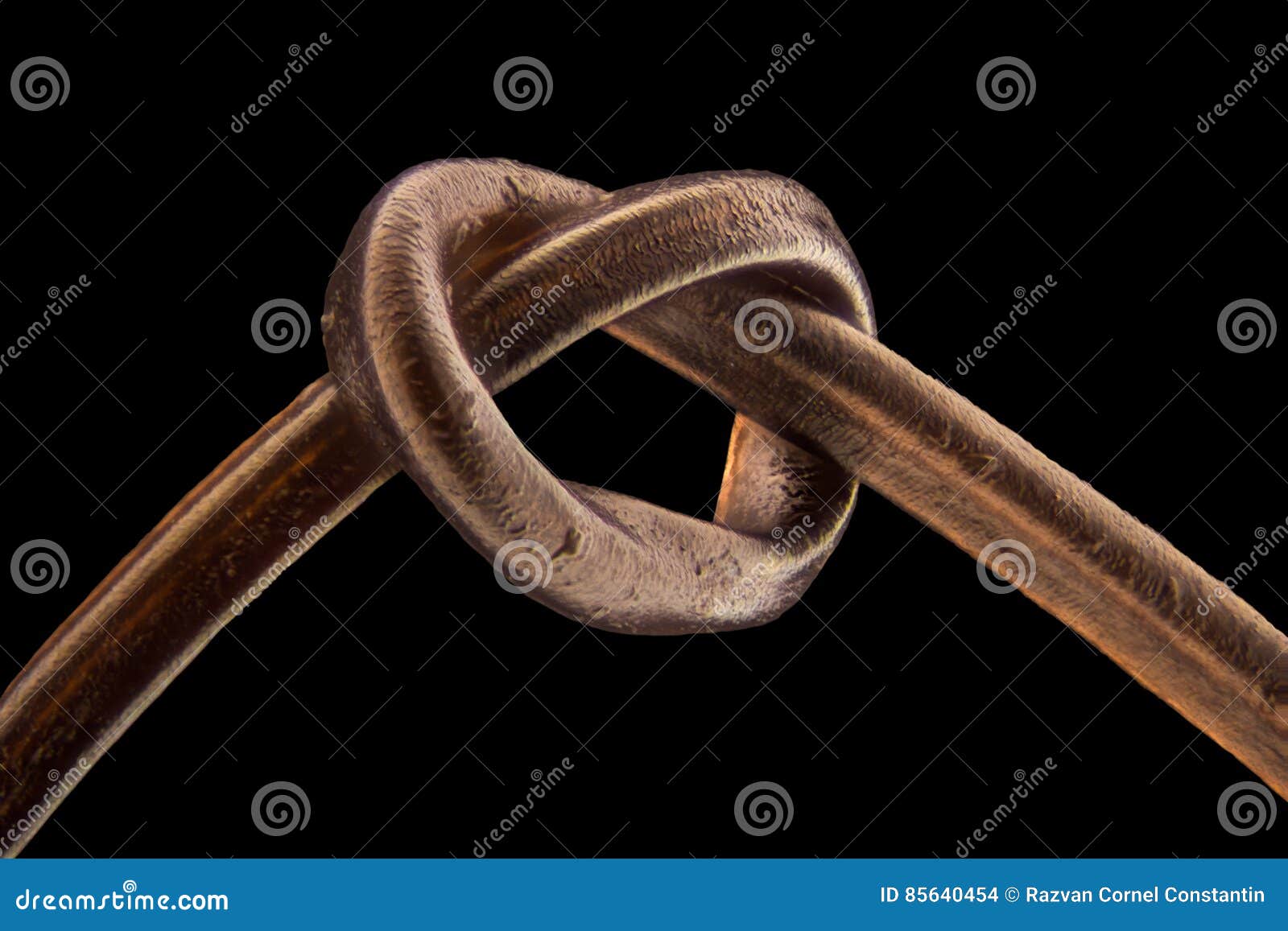 Extreme Magnification - Human Hair at 20x Magnification Stock Photo ...