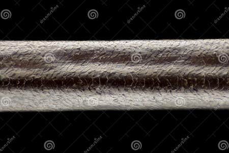 Extreme Magnification - Human Hair at Microscope, 100x Magnification ...