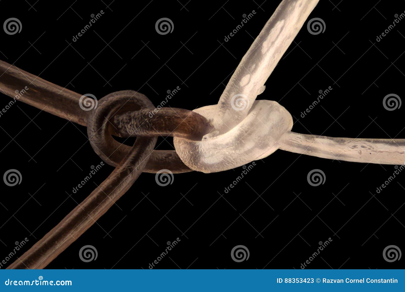 Extreme Magnification - Human Hairs at 20x Magnification Stock Image ...