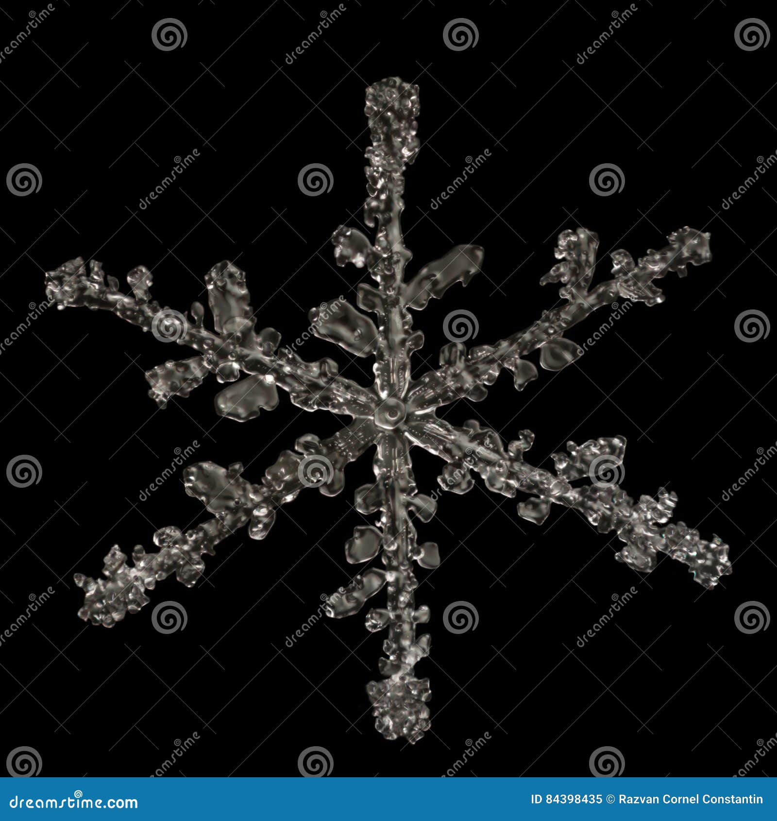 Real Snowflake Isolated On White Background Royalty-Free Stock ...