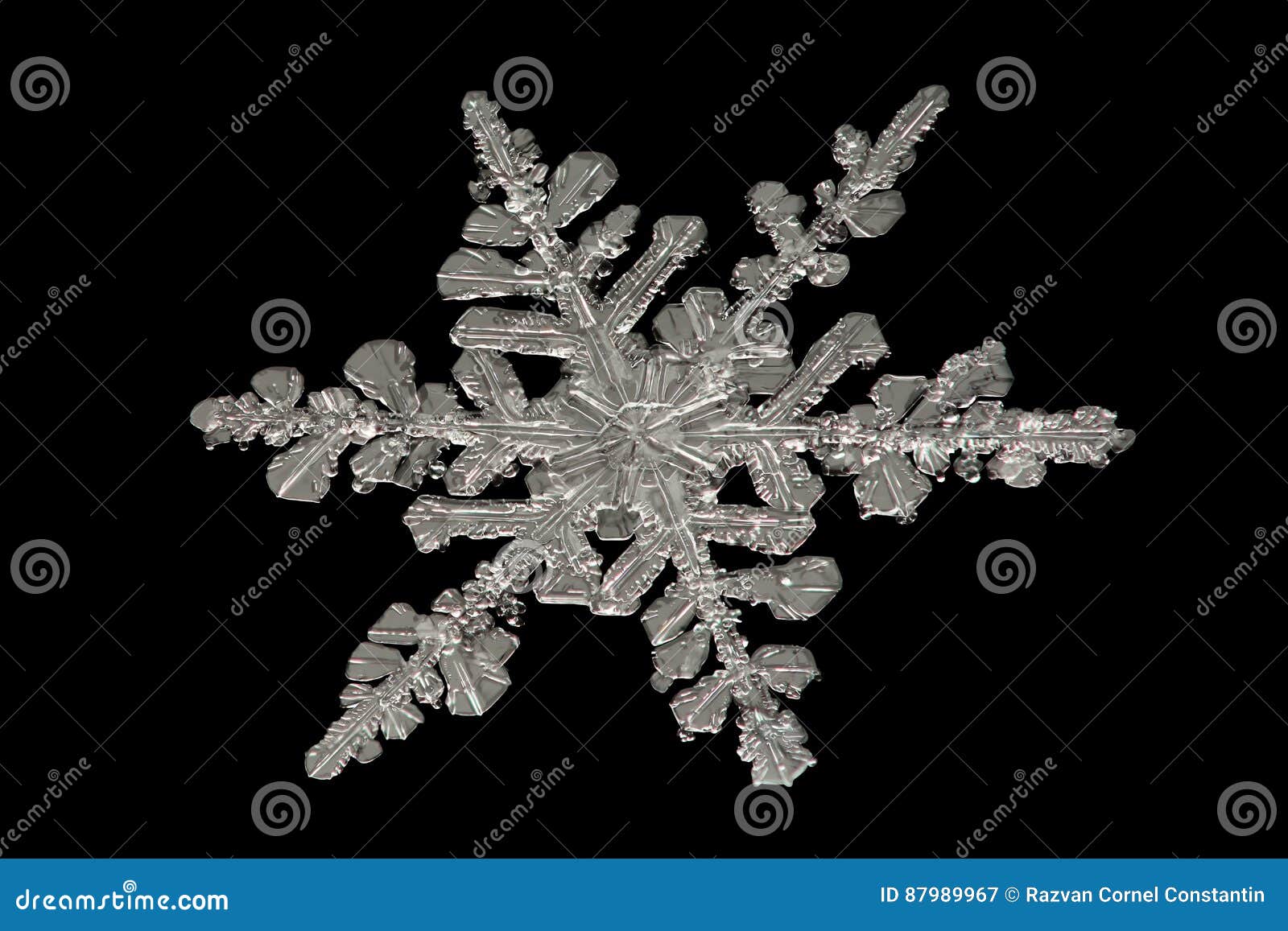 Real Snowflake Isolated On White Background Royalty-Free Stock ...