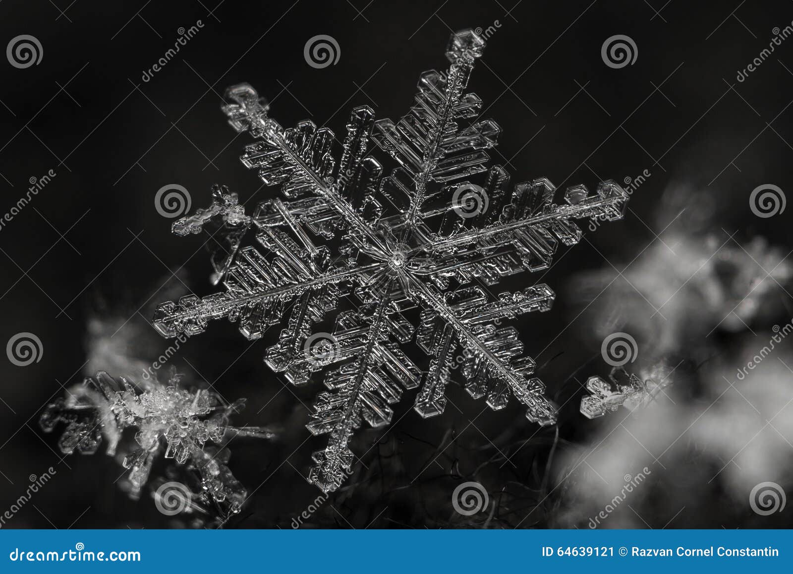 Extreme Magnification - Real Snowflake Stock Image - Image of ...