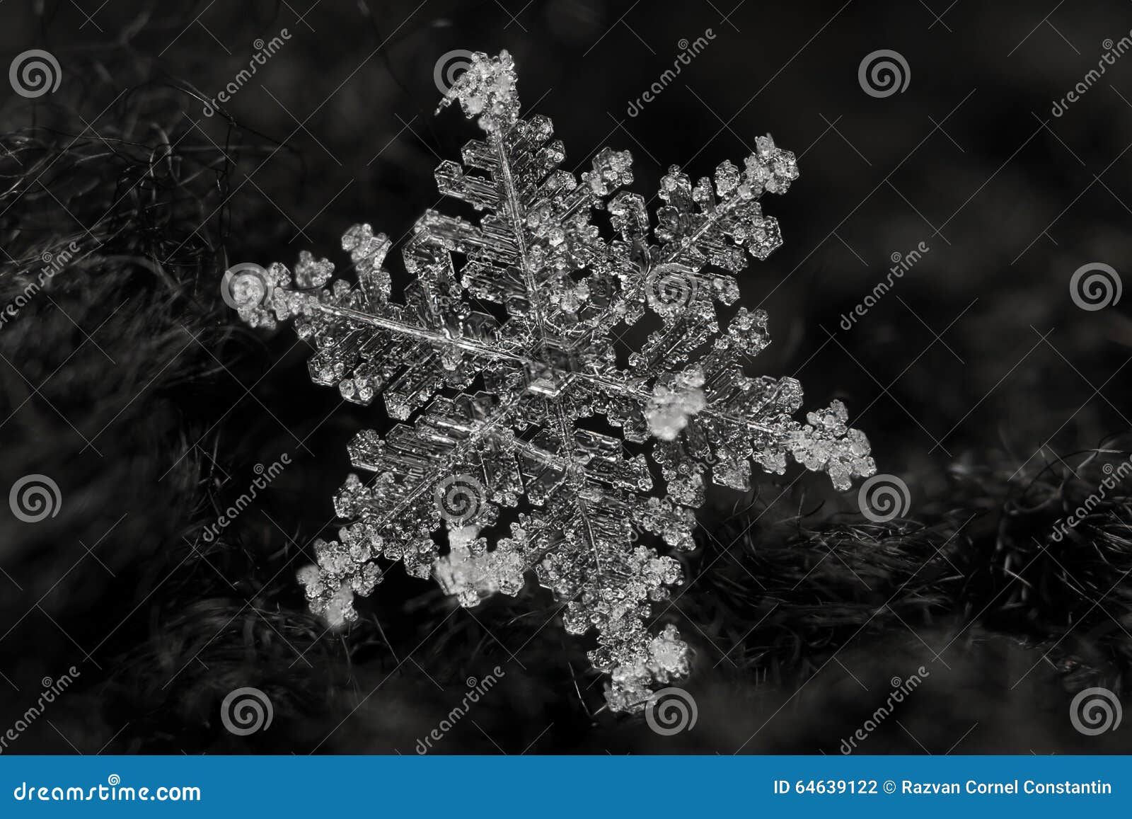Extreme Magnification - Real Snowflake Stock Photo - Image of crystal ...