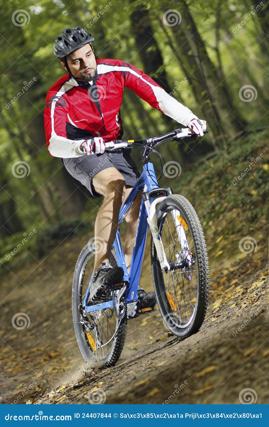 Extreme MTB cyclist stock photo. Image of bicyclist, jumping - 24407844