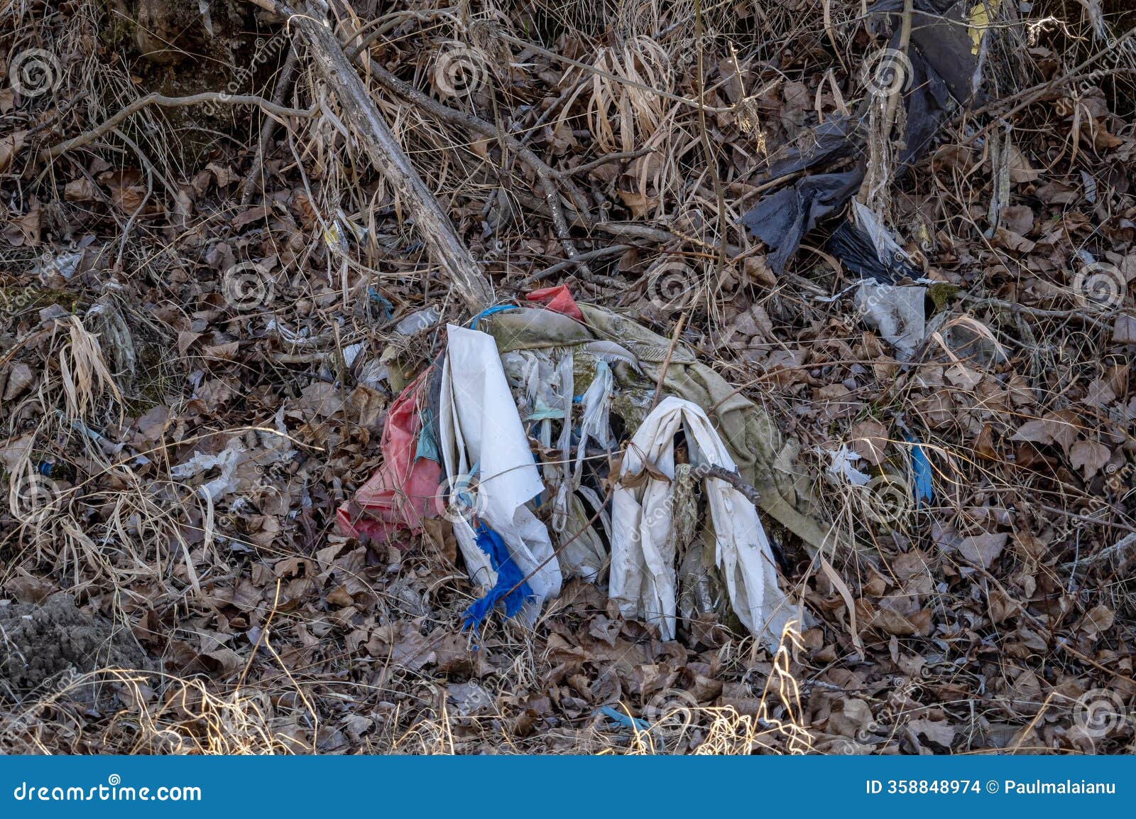 Pollution on the Edge of a River. Stock Photo - Image of garbage ...