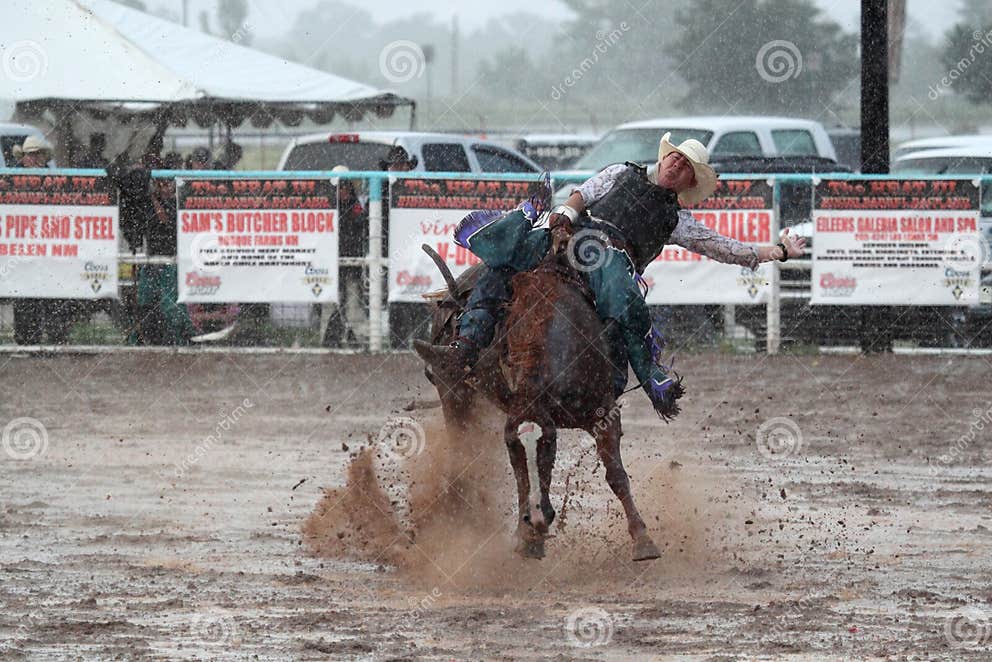 Extreme Rodeo editorial stock image. Image of gallop - 25923524
