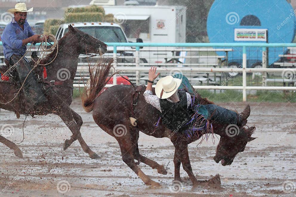 Extreme Rodeo editorial stock photo. Image of extreme - 25923553
