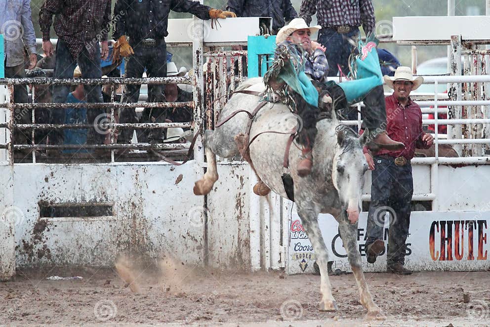 Extreme Rodeo editorial photography. Image of july, male - 25923562