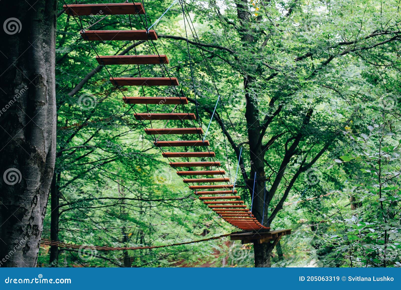 Extreme Rope Ladder Fixed on High Tree in Adventure Park Stock Image ...