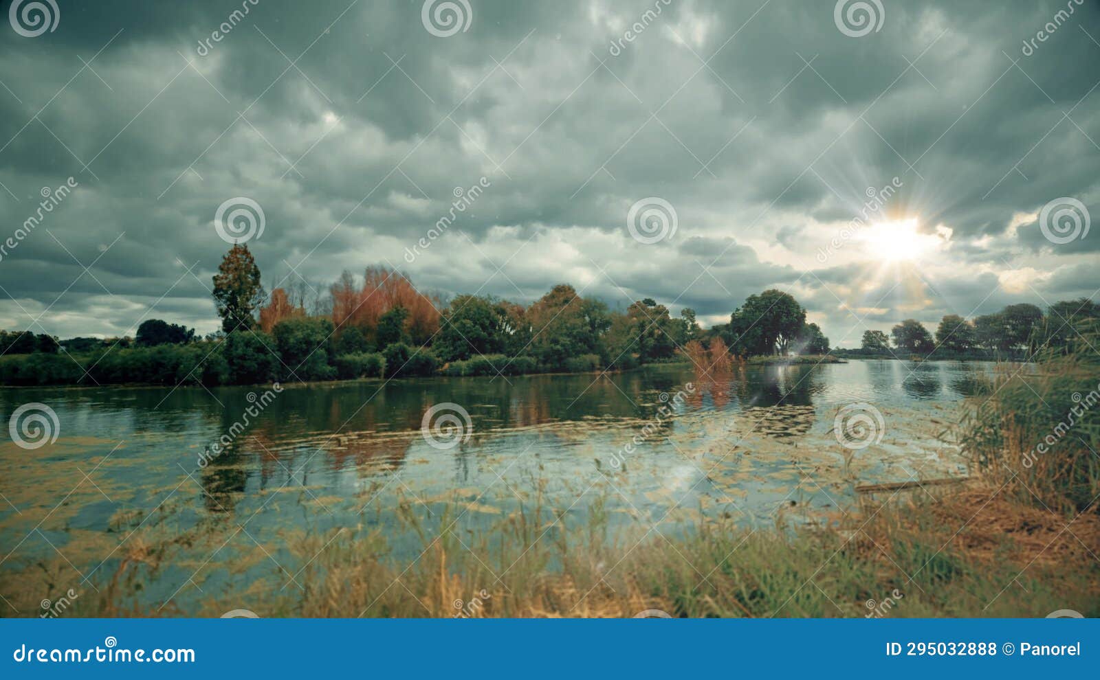 An Extreme Slow Motion Zoom and Pan in Swamp Landscape. Stock Footage ...