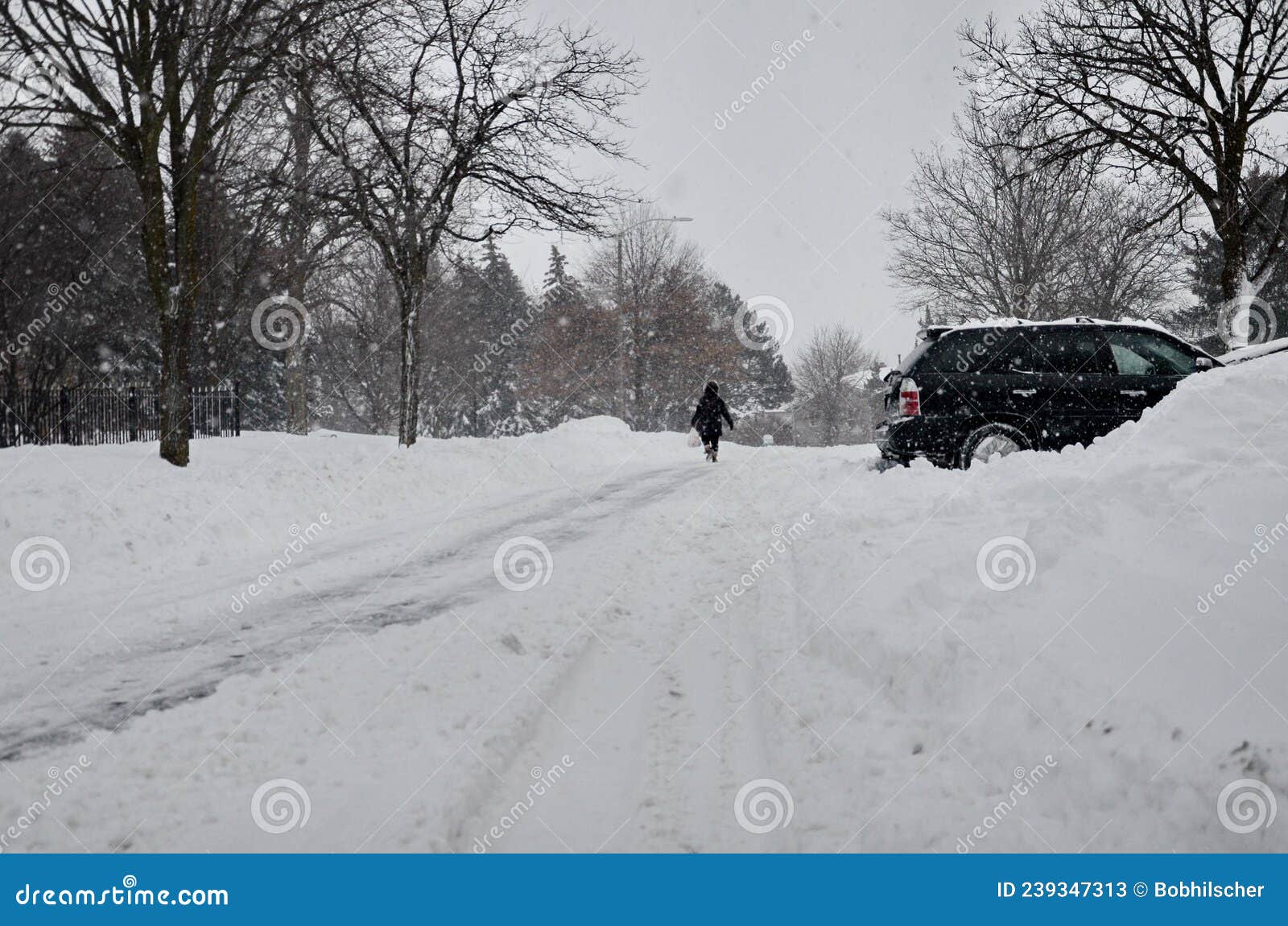 Extreme Snowfall during Snowstorm in Toronto Stock Image - Image of ...