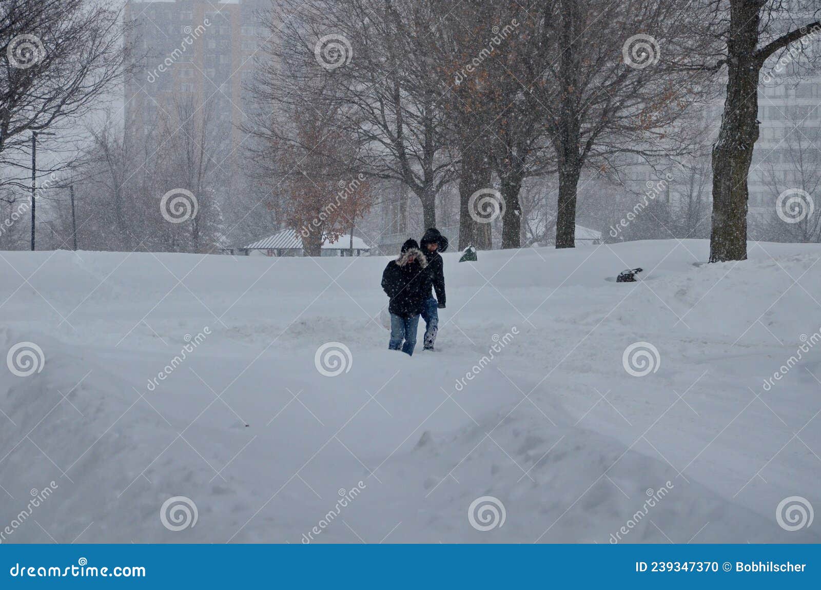 Extreme Snowfall during Snowstorm in Toronto Editorial Image - Image of ...