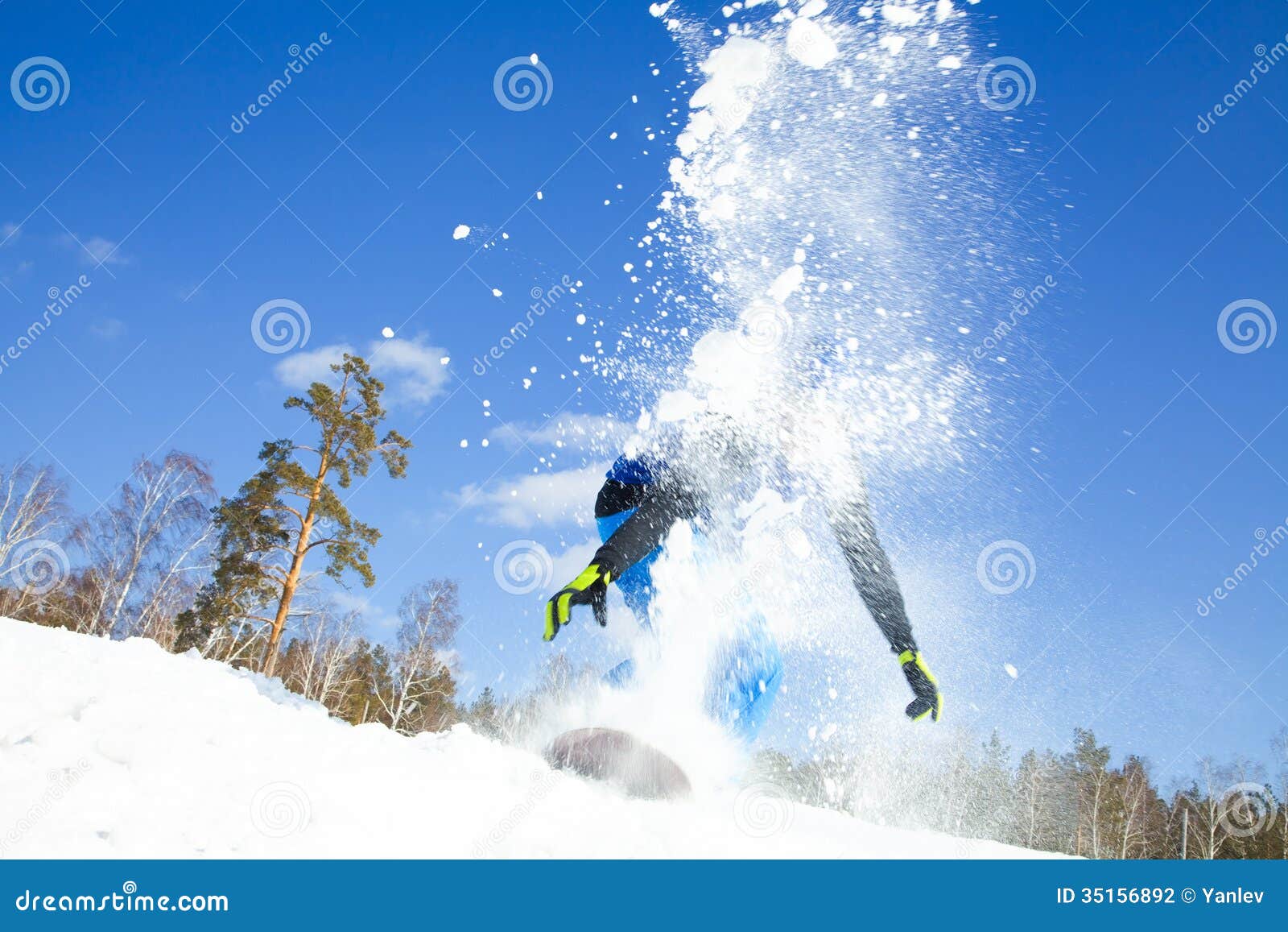Extreme winter stock photo. Image of nature, holiday - 35156892